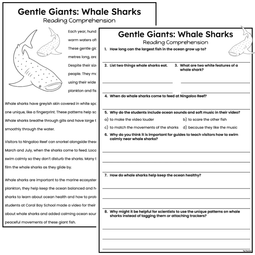Gentle Giants Whale Sharks Comprehension Worksheet - Top Teacher