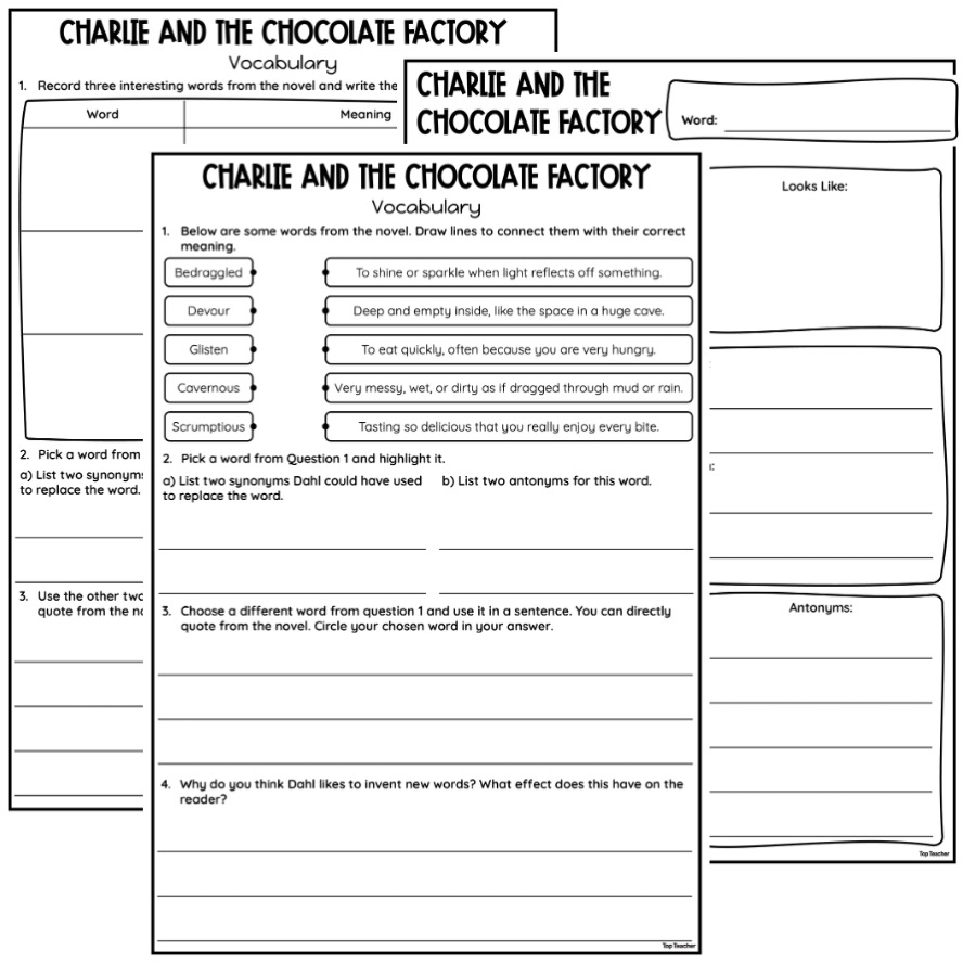 Charlie and the Chocolate Factory Vocabulary Worksheets - Top Teacher