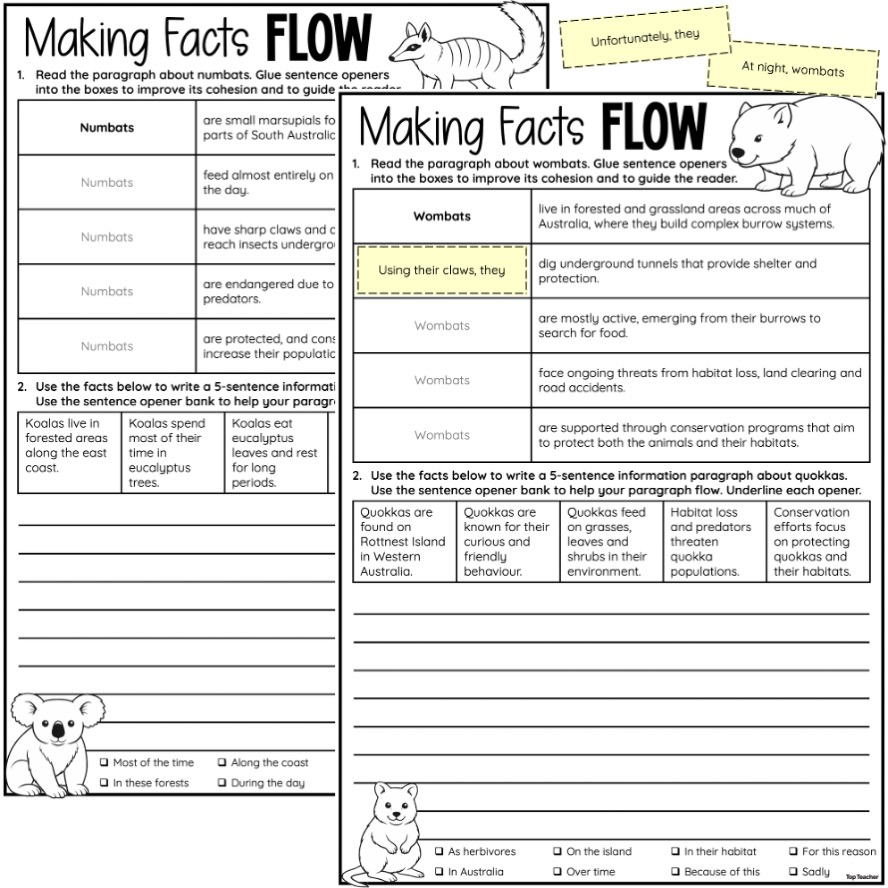Making Facts Flow: Paragraph Cohesion Worksheets - Top Teacher