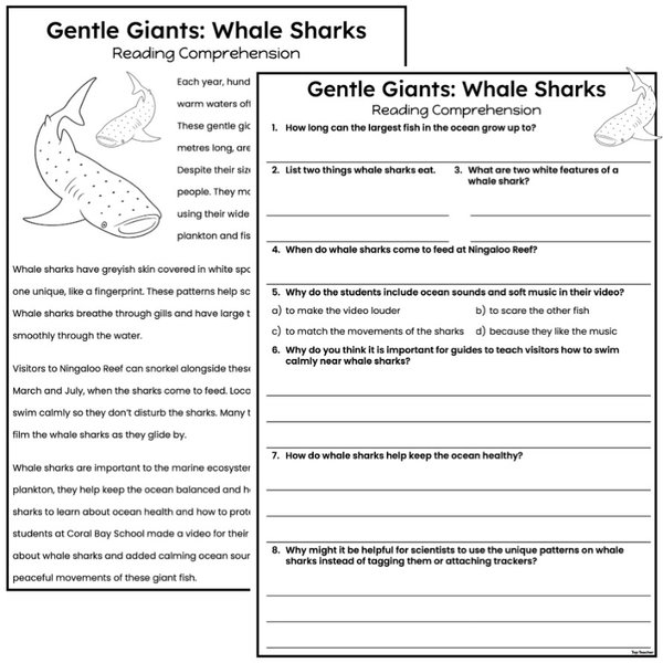 Gentle Giants Whale Sharks Comprehension Worksheet - Top Teacher