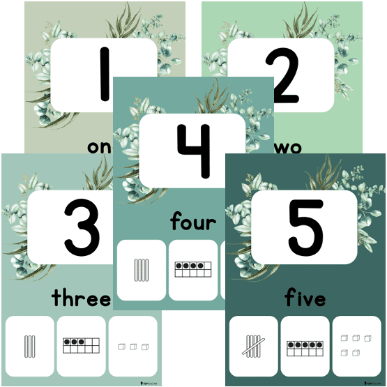 Number Posters 0-100 Eucalyptus - Top Teacher