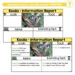 Information Reports Australian Animals POWERPOINT - Top Teacher