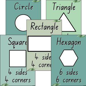 2D Shape Posters Eucalyptus - Top Teacher