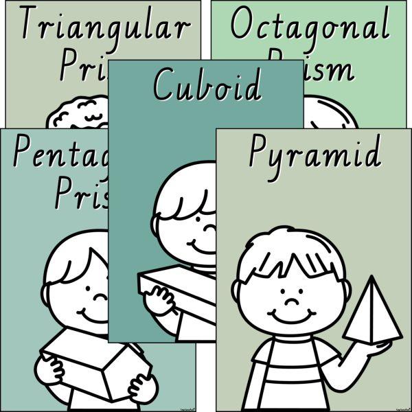 3D Object Posters Eucalyptus - Top Teacher