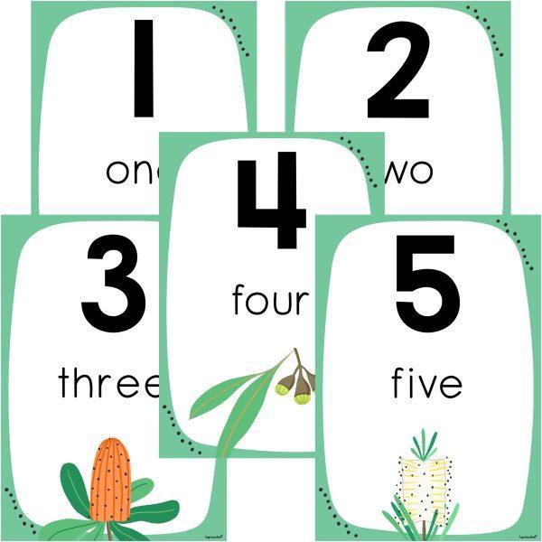 Number Posters 0-100 Let’s Bloom - Top Teacher