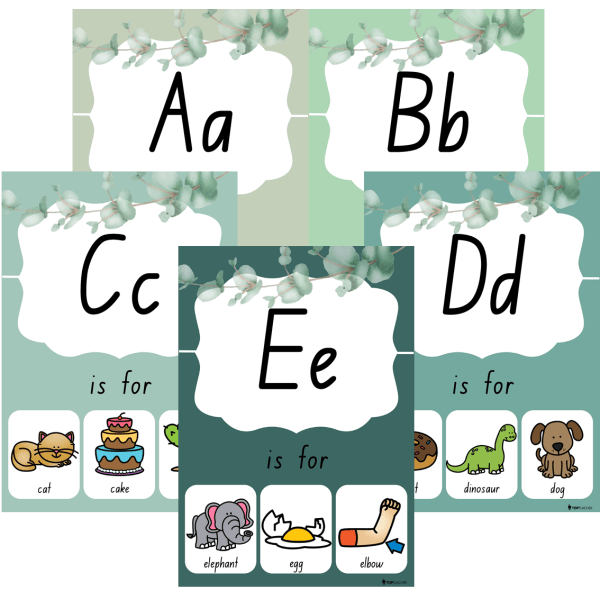 Alphabet Trio Posters Eucalyptus - Top Teacher