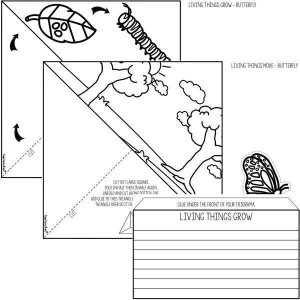 Butterfly Living Things Triorama - Top Teacher