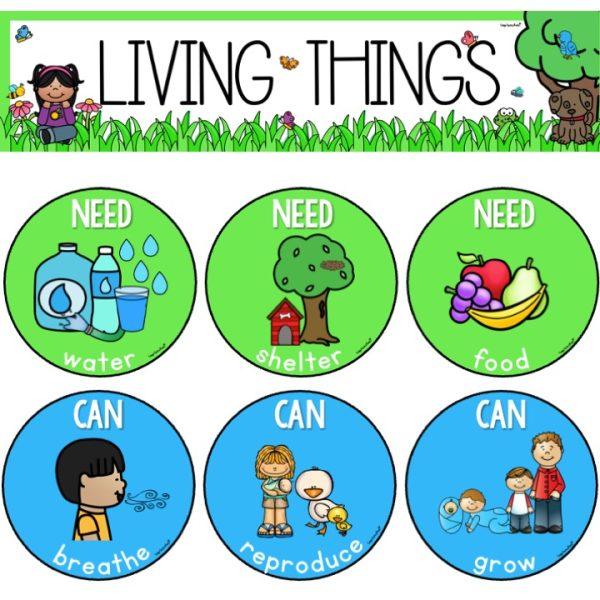 Needs of Living Things Mini Booklet - Top Teacher