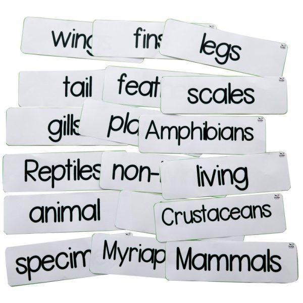Living & Non-Living Word Wall - Top Teacher