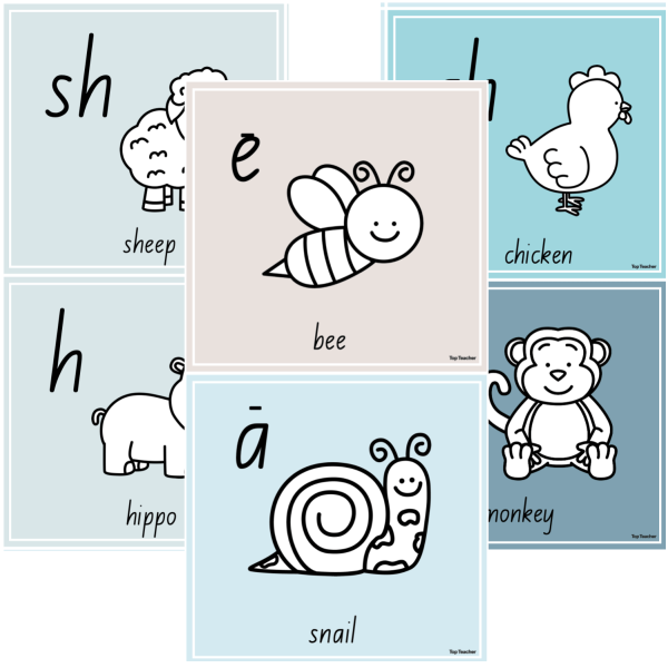 Sound Wall Phoneme Flash Cards Ocean Wonderland - Top Teacher