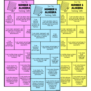 Number & Algebra Strand Rubric: Year 5 - Top Teacher