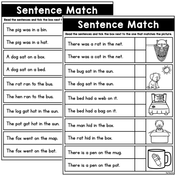 Decodable Sentence Match Worksheet: CVC - Top Teacher
