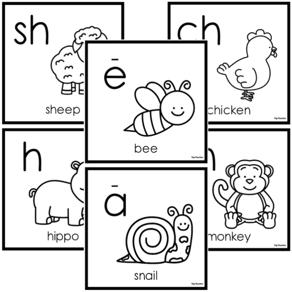 Sound Wall Phoneme Flash Cards B&W - Top Teacher