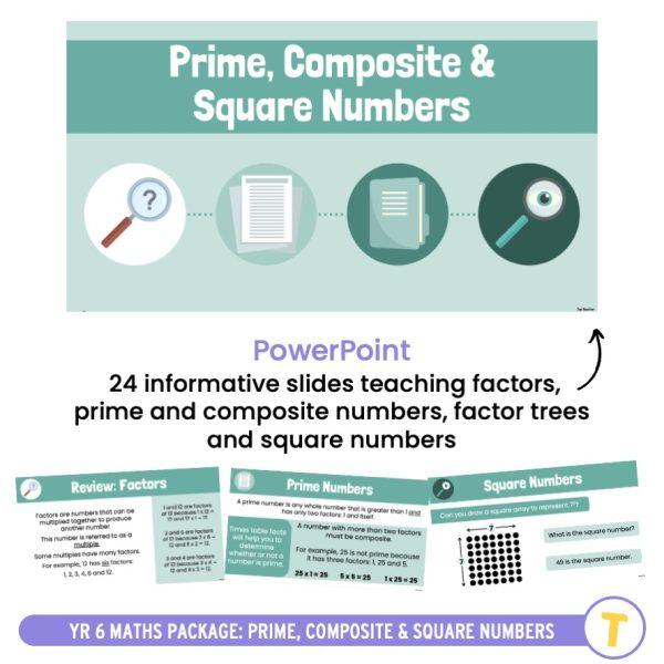 Year 6 Mathematics Package: Prime, Composite & Square Numbers - Top Teacher