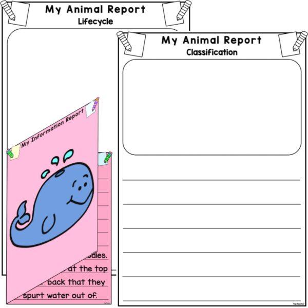 Animal Information Report Templates - Top Teacher