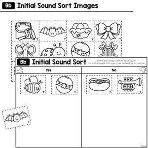 Initial Sound Sort Activity PACKAGE - Top Teacher