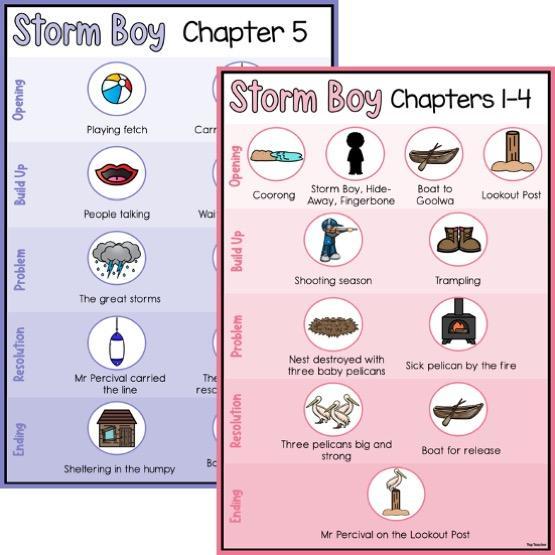 Storm Boy Display PACKAGE - Top Teacher