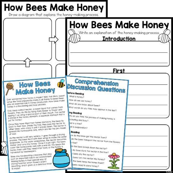 Constructing an Information Report POWERPOINT - Top Teacher