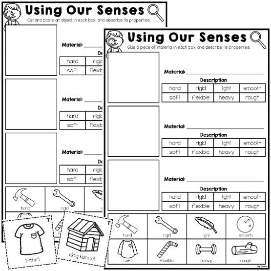 Sorting Materials - Top Teacher
