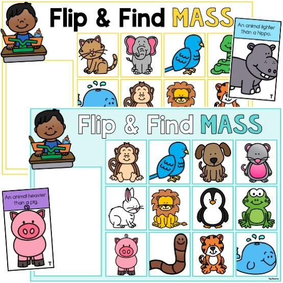 Flip & Find: Mass - Top Teacher