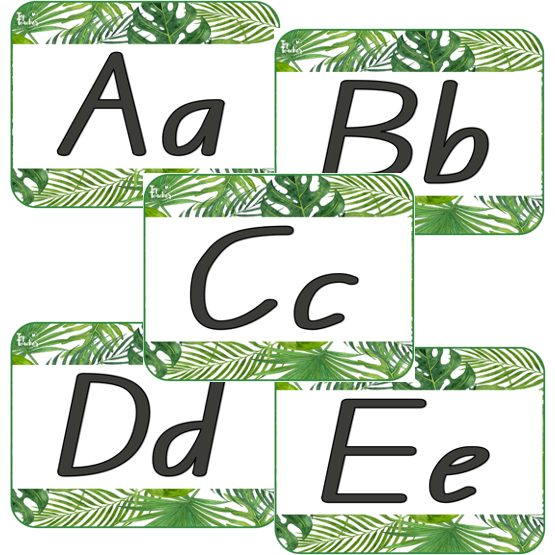 Alphabet Cards Tropical - Top Teacher