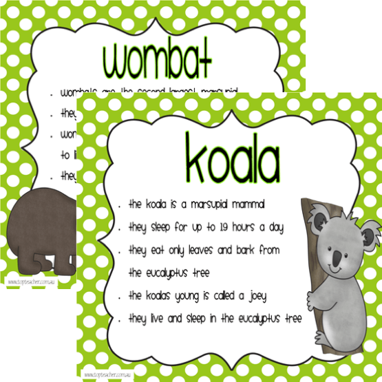 Australian Animal Fact Posters - Top Teacher