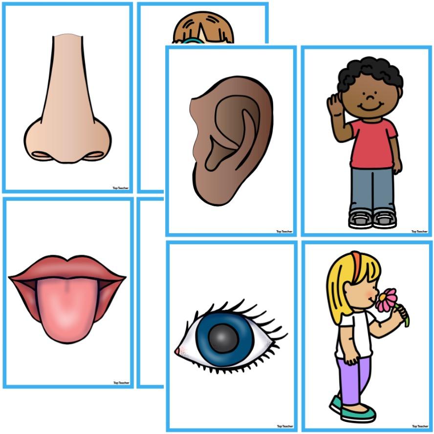 Parent Care Package Tag: Back to School - Top Teacher