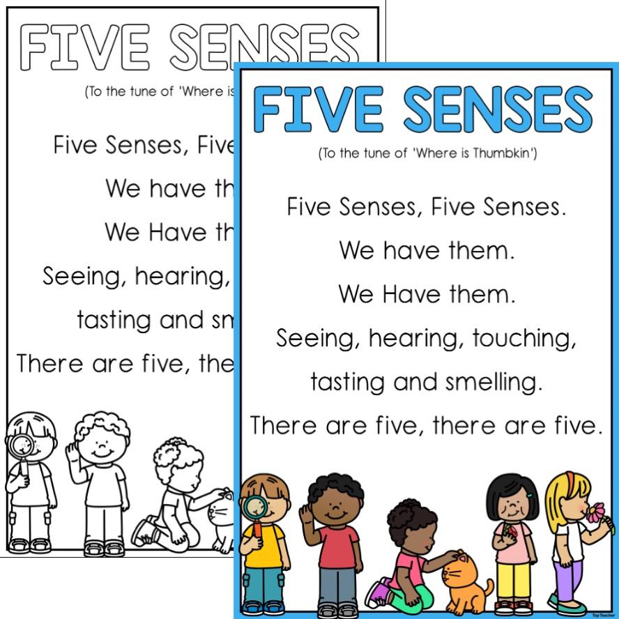 Five Senses Song Poster - Top Teacher