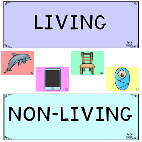 Living Non Living Sorting