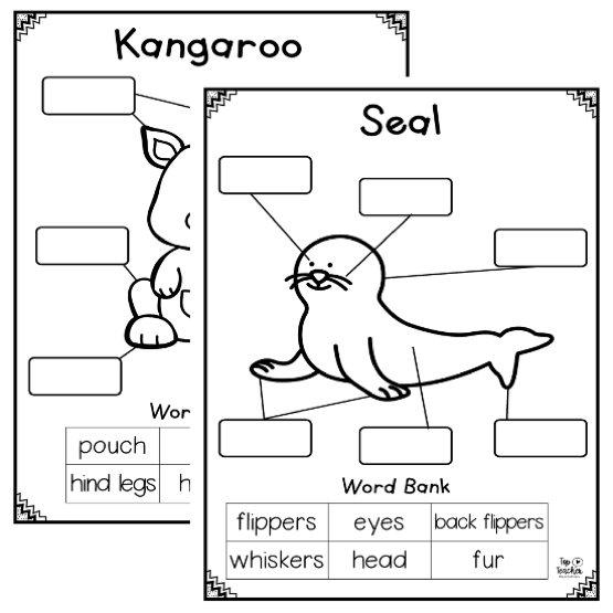 Animal Labelling Booklet - Top Teacher