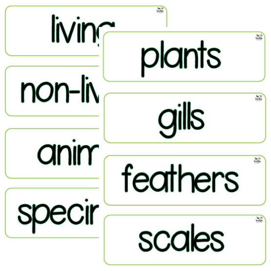 Living & Non-Living Word Wall - Top Teacher