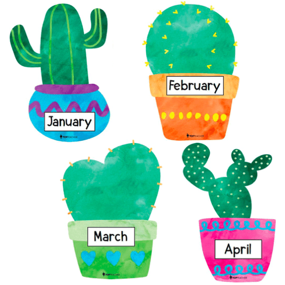Cactus Birthday Display - Top Teacher