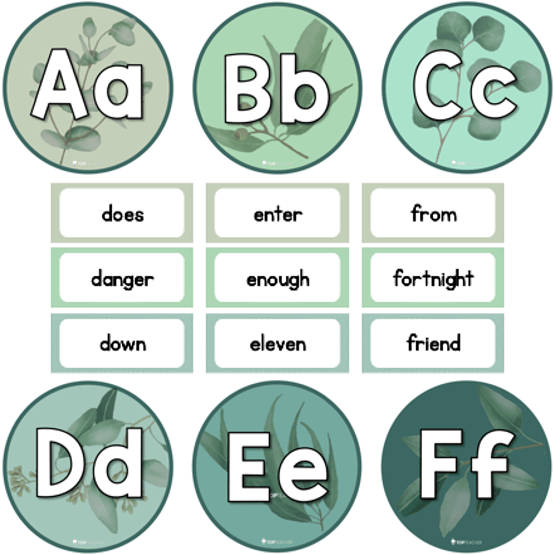 Word Wall Eucalyptus - Top Teacher