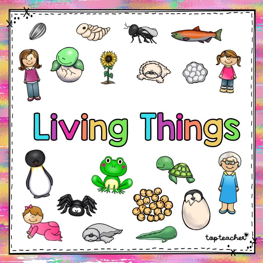 Living Things POWERPOINT - Top Teacher