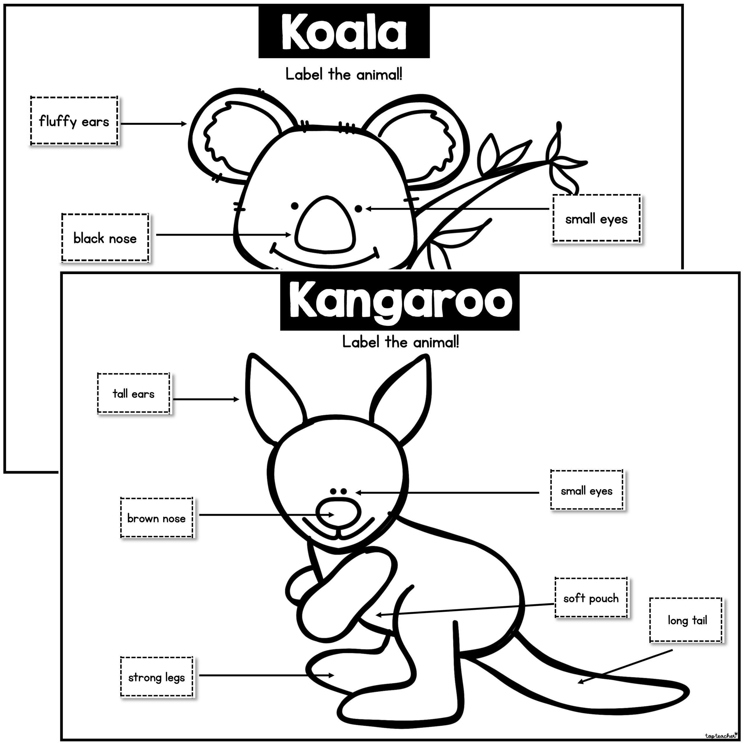 Labelling Australian Animals - Top Teacher