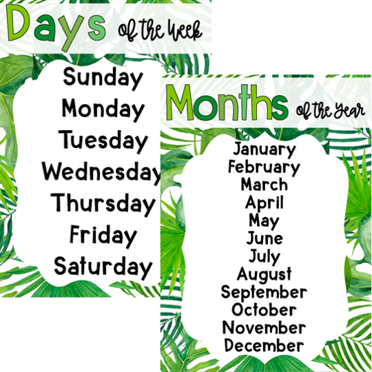 Days & Months Posters Tropical - Top Teacher