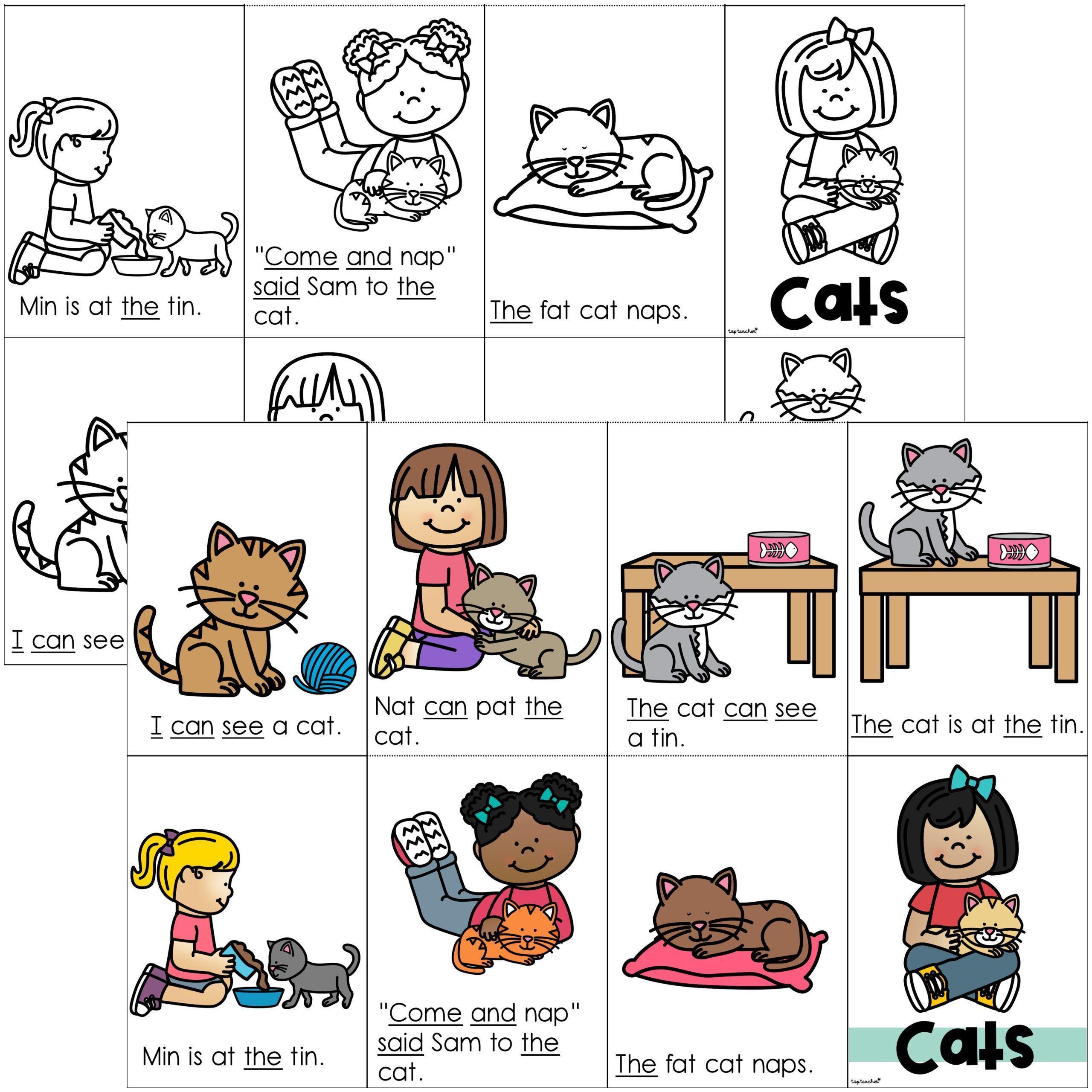 Decodable Mini Book Set: 1 Cats - Top Teacher