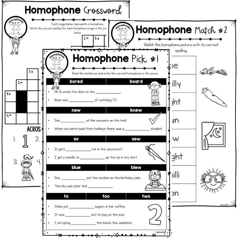 Choosing Homophones Worksheet Have Fun Teaching