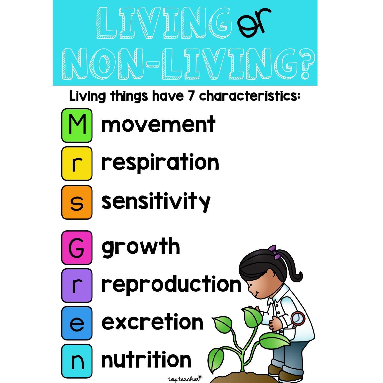 Characteristics of Living Things Poster - Top Teacher