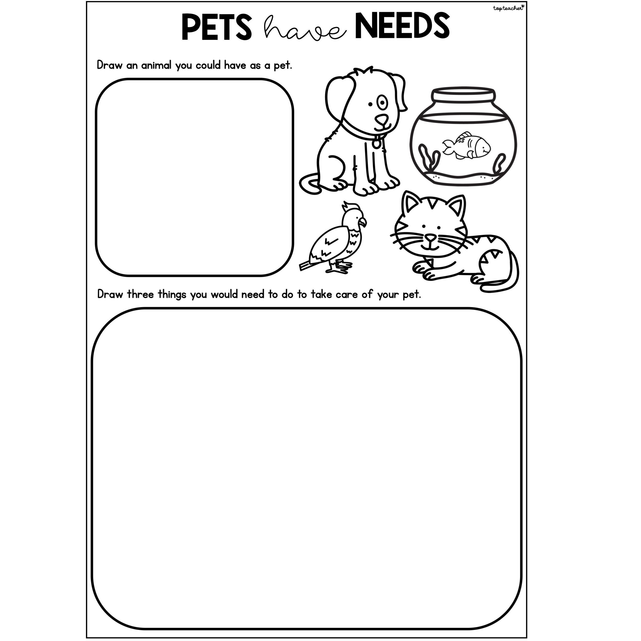 Pets Have Needs - Top Teacher