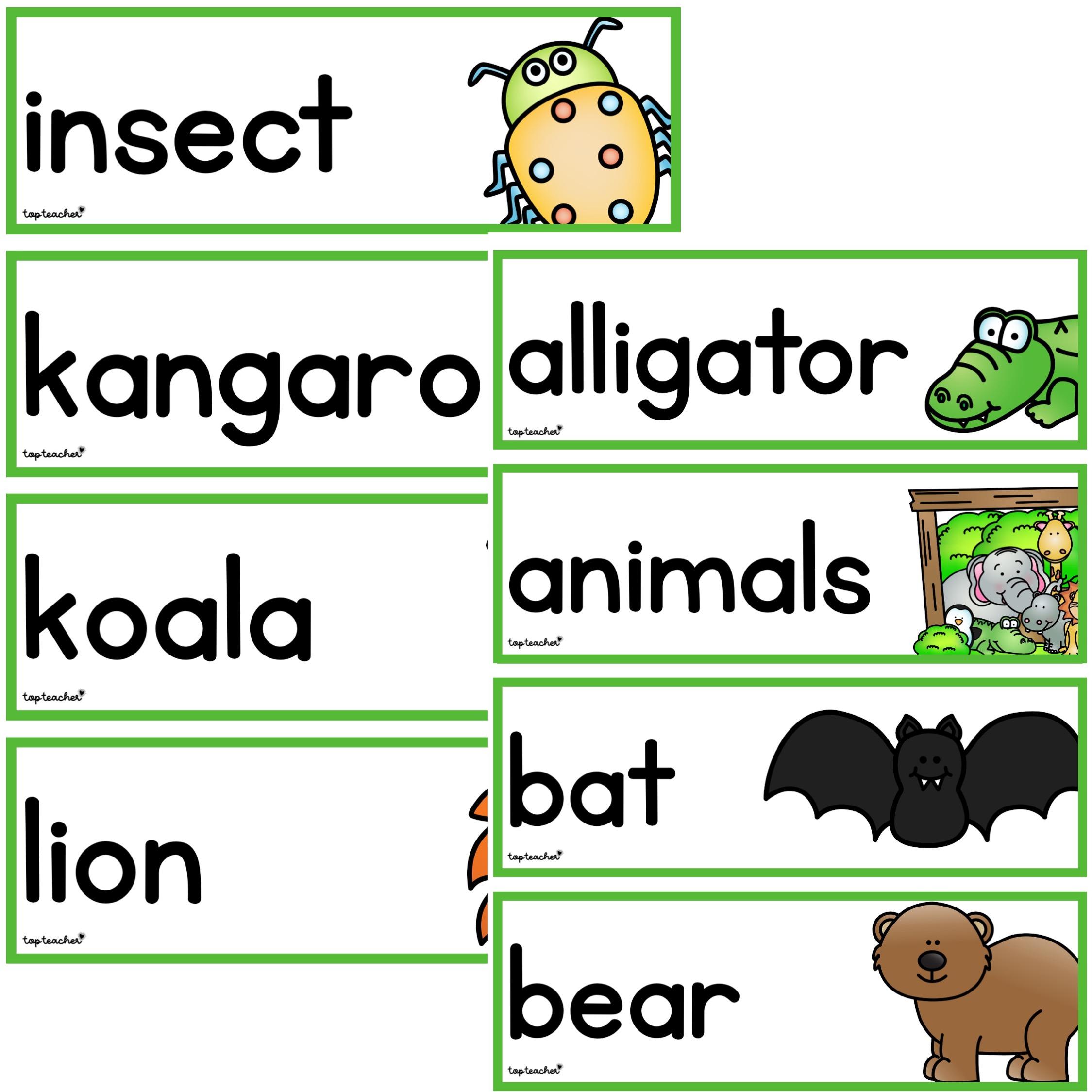 Zoo Word Cards - Top Teacher