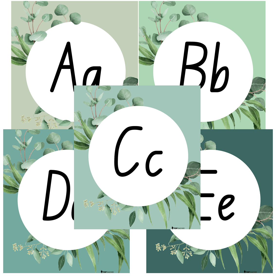 Alphabet Cards Eucalyptus - Top Teacher