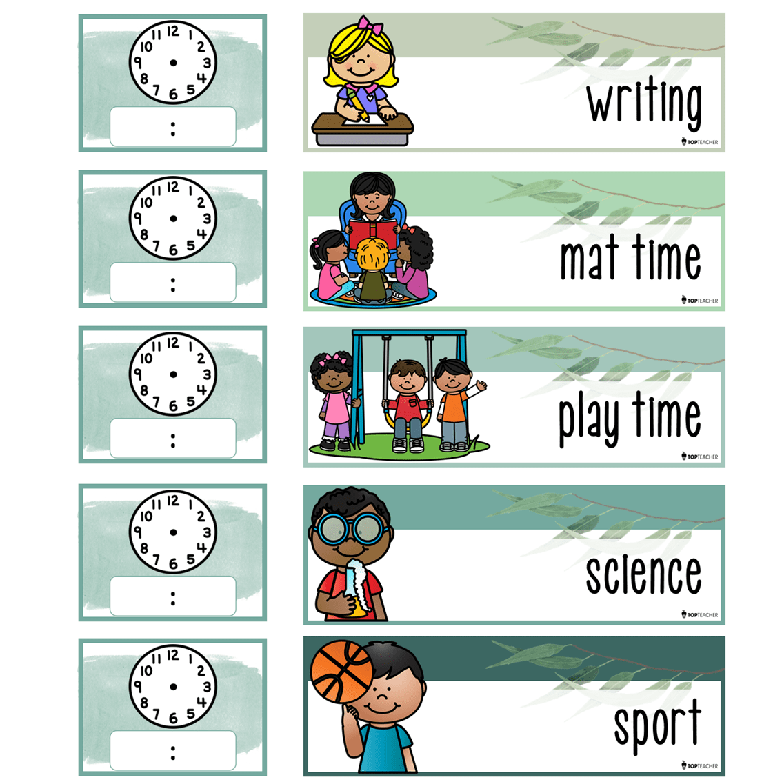Schedule Cards Eucalyptus - Top Teacher