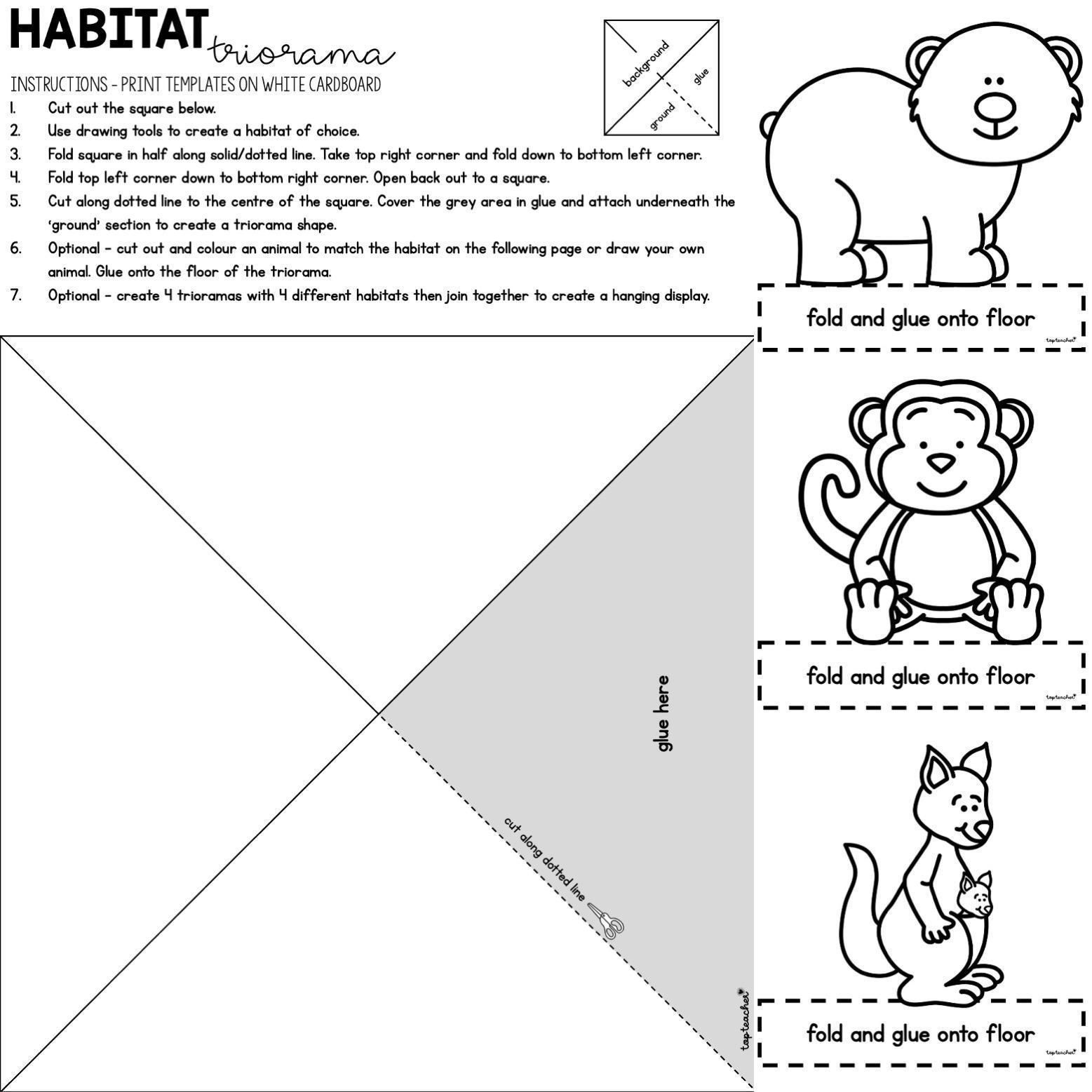 Habitat Triorama - Top Teacher