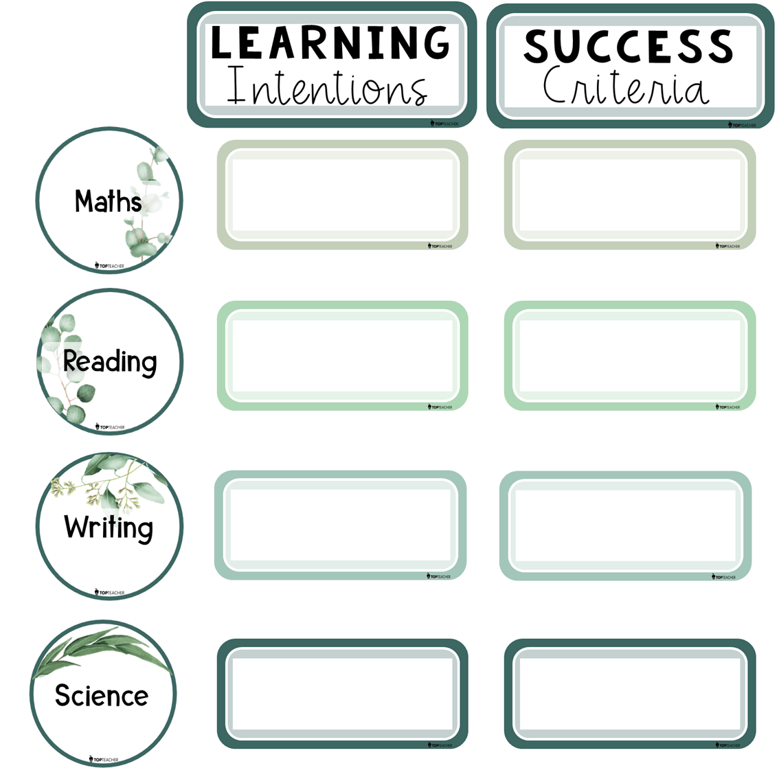 Learning Intentions Display Eucalyptus - Top Teacher