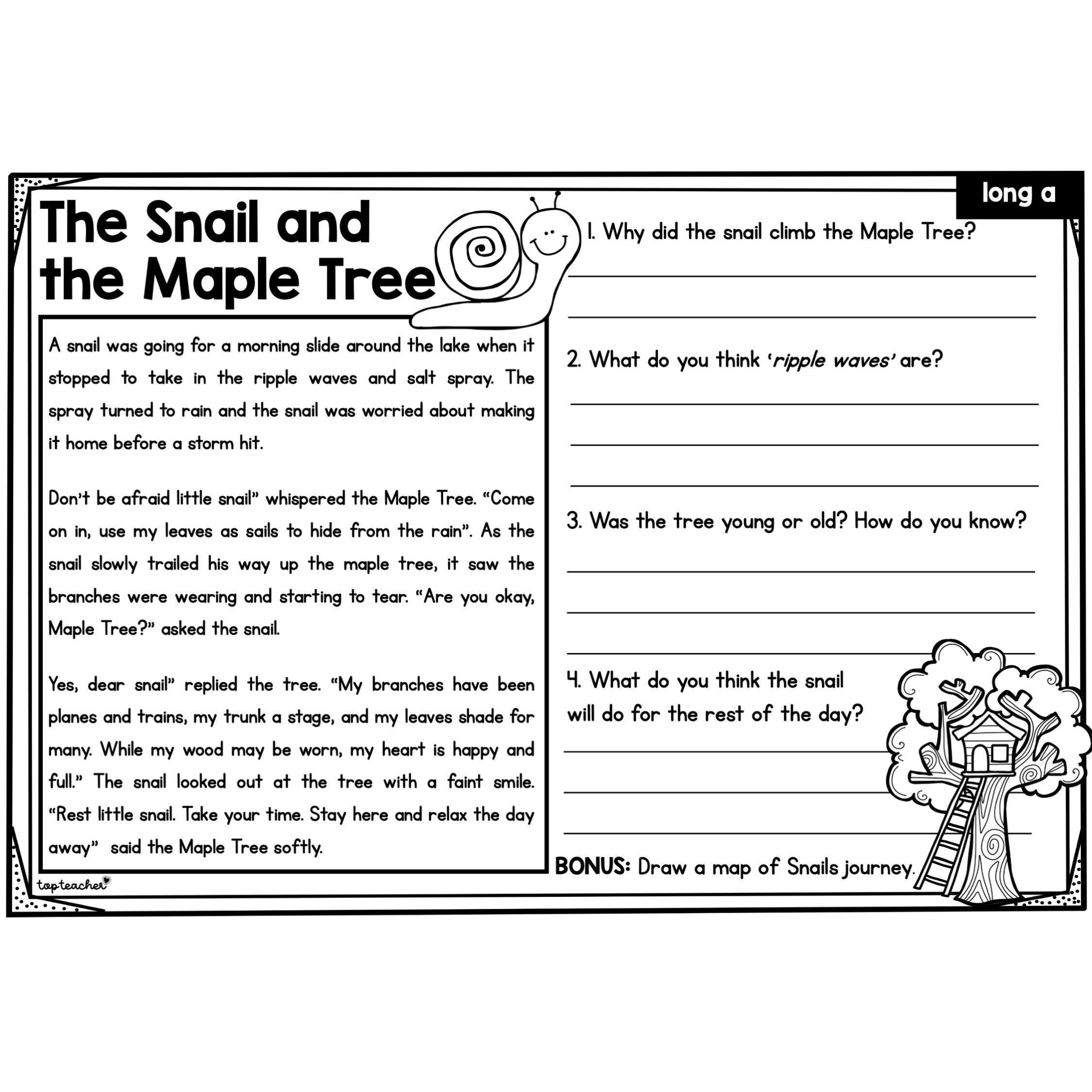 Reading & Comprehension Passage: long a - Top Teacher
