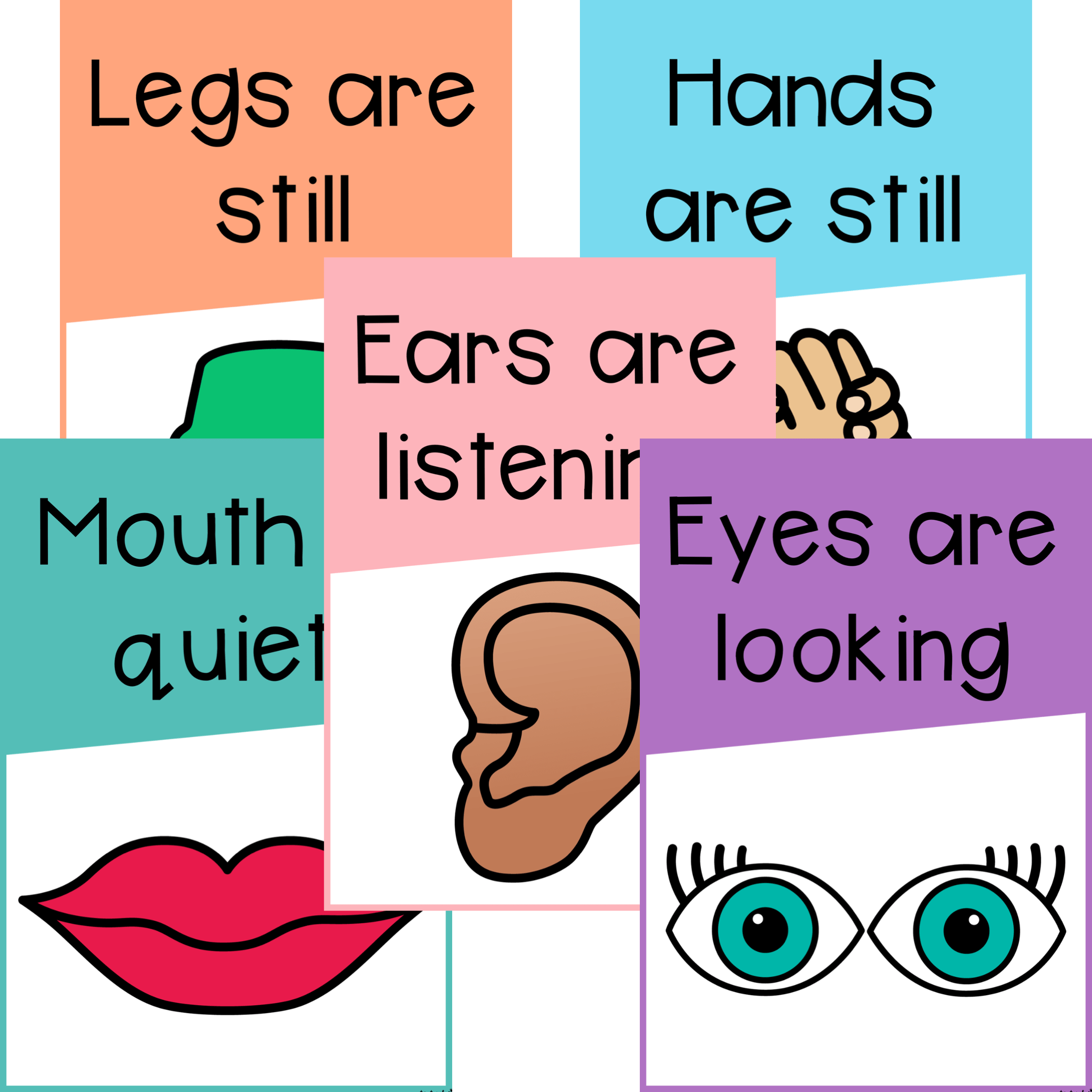 Whole Body Listening Posters Animalia - Top Teacher