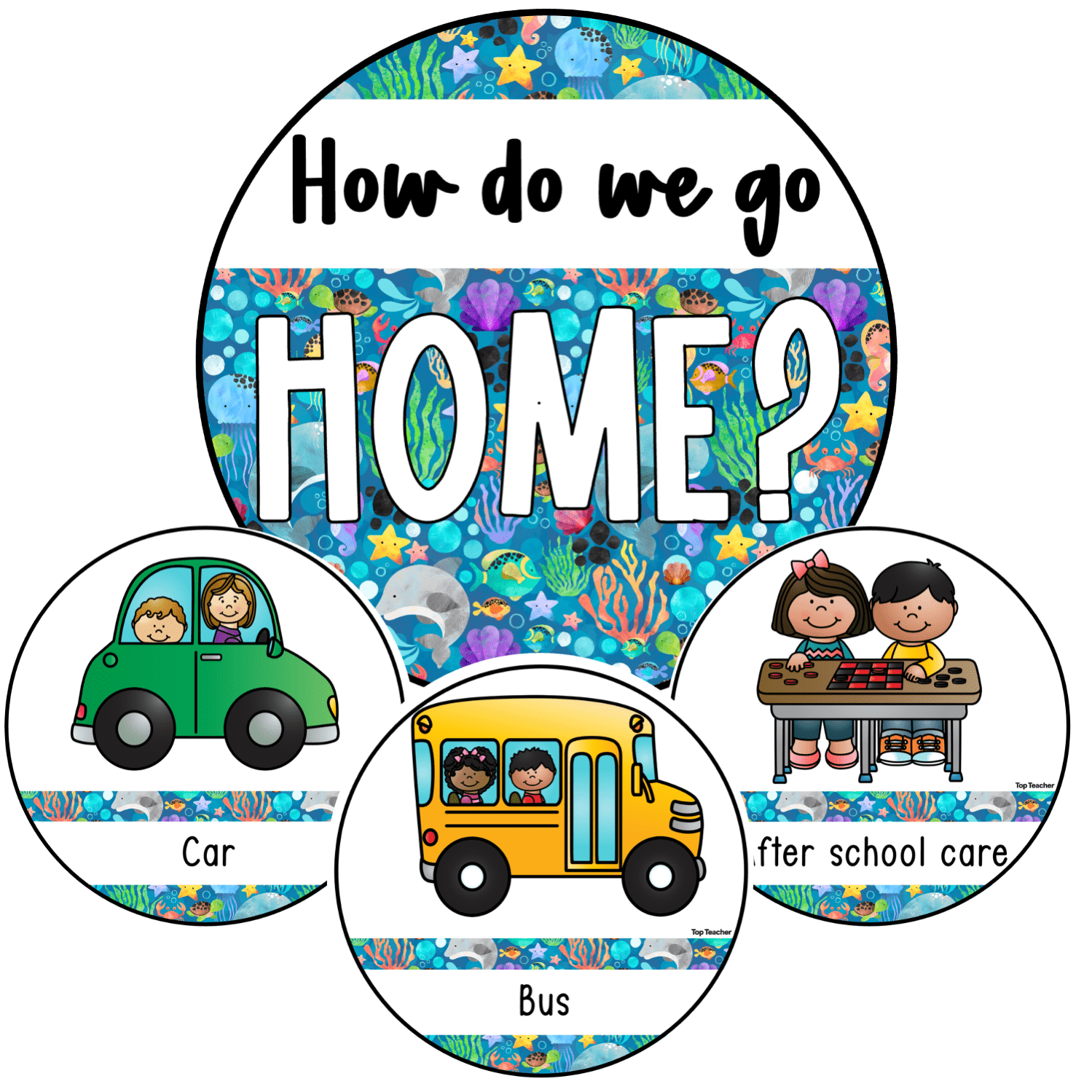 How Do We Go Home? Ocean Wonderland - Top Teacher