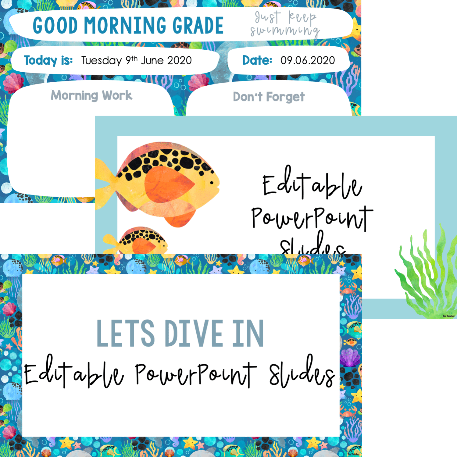 PowerPoint Slides Ocean Wonderland - Top Teacher