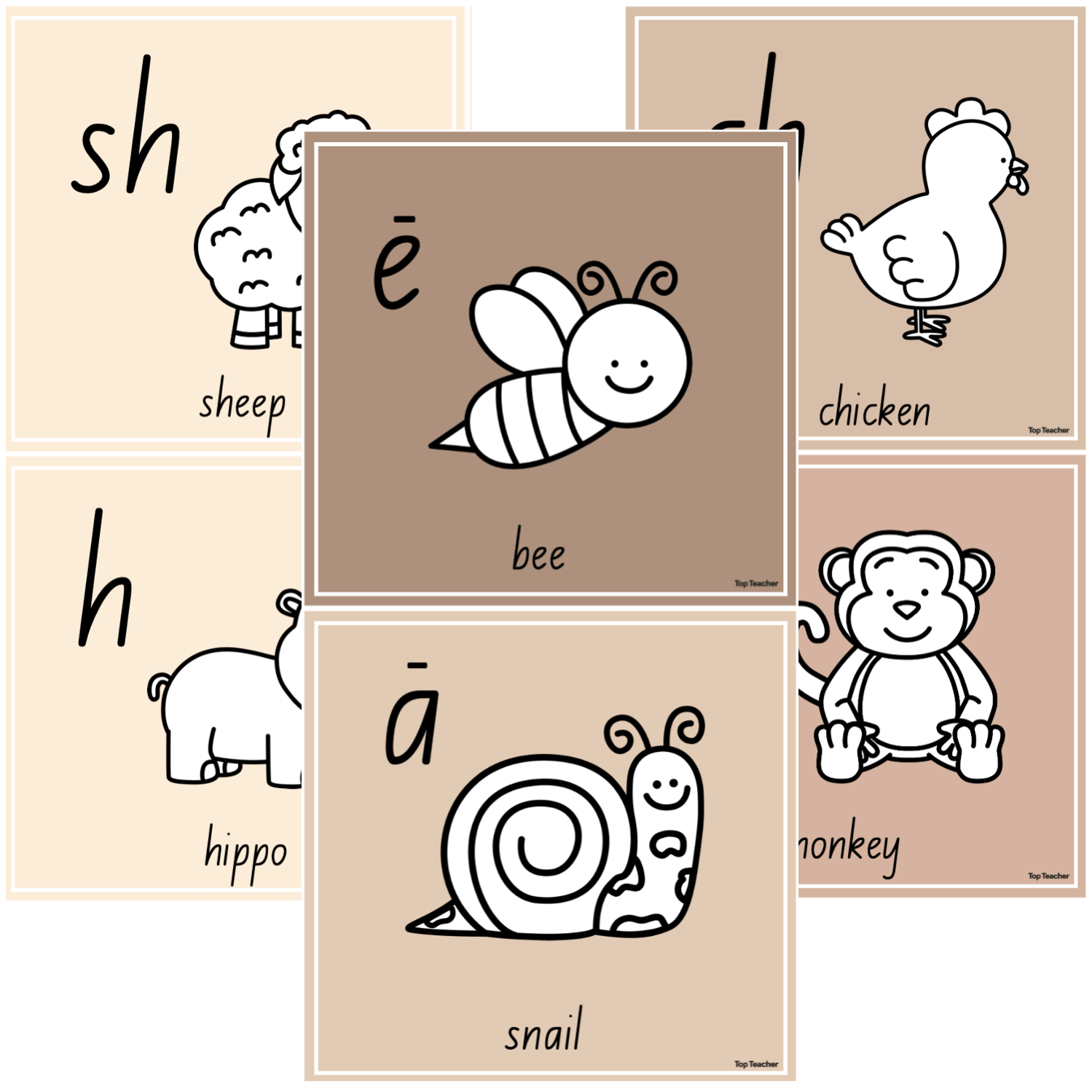 Sound Wall Phoneme Flash Cards Burn Off - Top Teacher